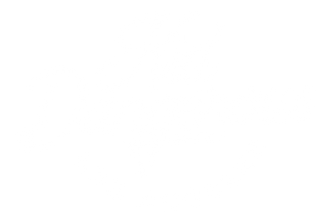 Kid Dangerous - Premium Graphic Tees & Apparel